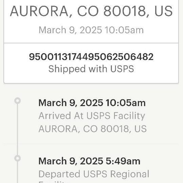 Puca Shell Necklace. Square Puca Shells Beads Strung on Wire. Silver ...