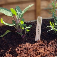 HERB Plant Marker, Pot Plant, Gift for Gardeners - Etsy UK