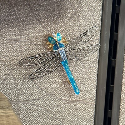 Human Brain Doctor Medical Science Brooch Lapel Pin Jewelry - Etsy