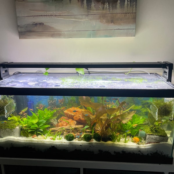 Fluval Aquasky/plant 3.0 Light Risers: Aquarium Tank Mount - Etsy