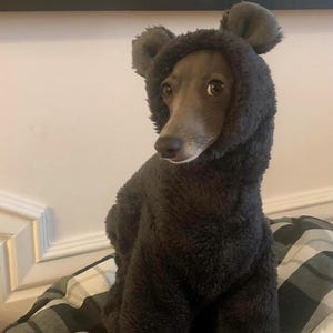 SnootsCanada - Etsy