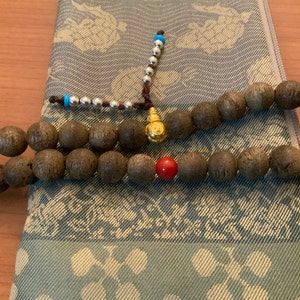 16.9x14.0mm Natural Deep Sea Angel Skin Color Coral Oval | Etsy