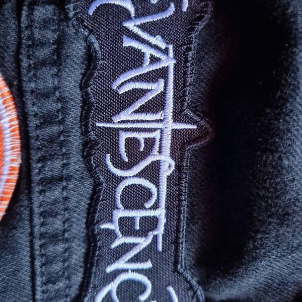 Evanescence Patch / Heavy Metal Music Patch / Sew or Iron on ...