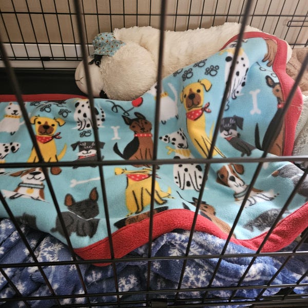 Fleece Dog Mat With Absorbent Inner Layer | Cozy Dog Crate Mat, Puppy ...
