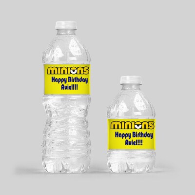 Party Favor Water Bottle Labels Large and Small Mockup Add Your Own ...
