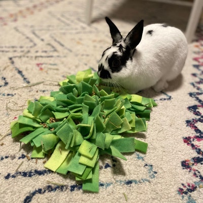 Bunny Rabbit Snuffle Mat, Foraging Blanket, Stimulation Treat Toy ...