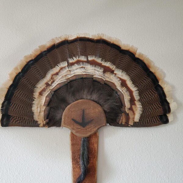 Classic Turkey Fan Mount - Etsy