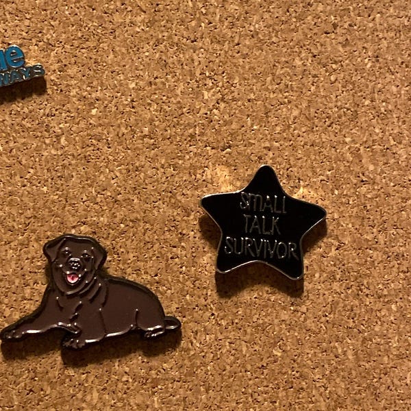 She/her Pronouns Moth Enamel Pin, Pronoun Lapel, Lanyard Pin, Purse ...