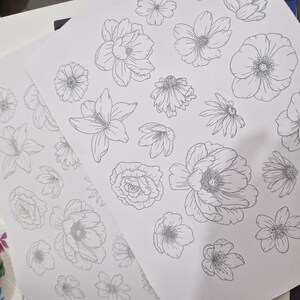 Flower Tracing Guide, Learn to Draw Flowers, Tracing Project, DIGITAL ...