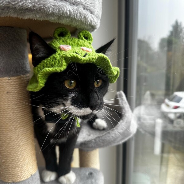 Cat Birthday Outfit | Crochet | Knitted | Letterbox Gift | Handmade ...