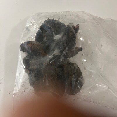 Dried Ponmo /cow Skin/dried Ponmo /dried Ponmodried Ponmo - Etsy