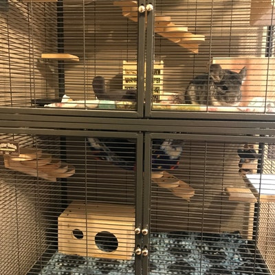 Chinchilla Ledge / Steps / Ramp Mounting Hardware - Etsy