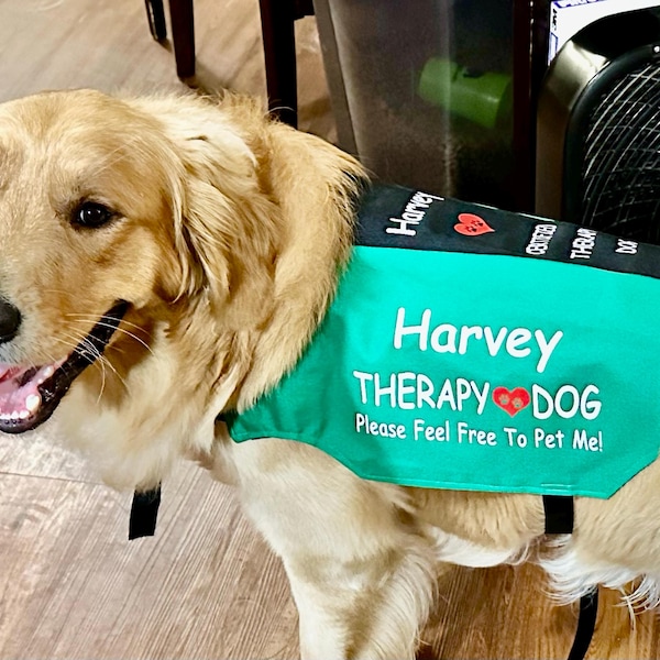 Personalized Therapy Dog Vest: Custom Name, Durable Outdoor Fabric - Etsy