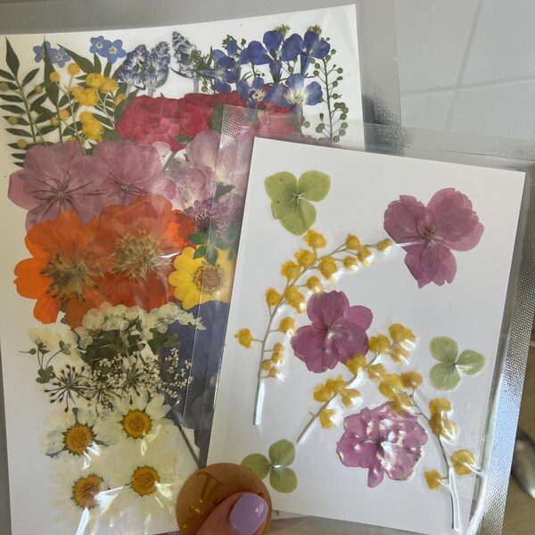 60 Pieces Food-safe Natural Pressed Flowers | Decorative Flowers for ...