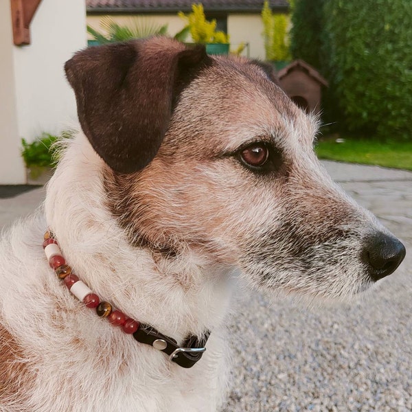 Anti Tick Collar for Dog, Em Ceramic, Sodalite and Tiger's Eye ...