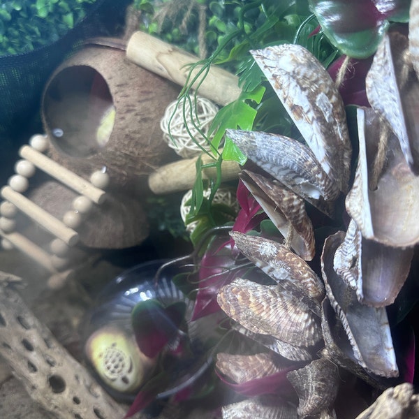 Turkey Wing Swings, Chimes Ladder or Bridges for Hermit Crabs - Etsy