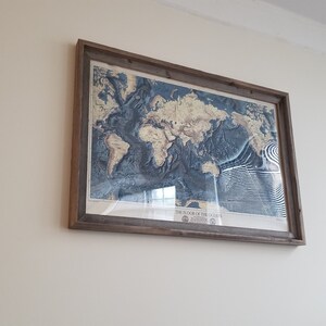 Parrot Fish Antique Print Illustration Vintage Poster | Etsy