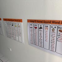 Phonics Binder | Reading Intervention Fluency | Phonics Curriculum Book ...