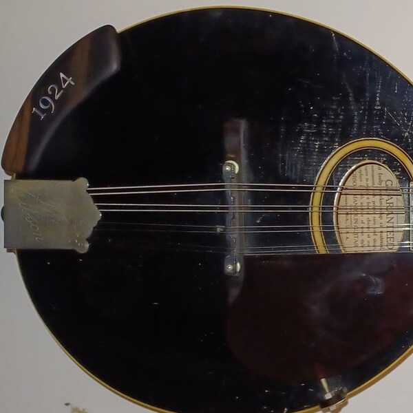 Premium Instrument Case Stand for Guitar, Violin, Mandolin, Banjo ...