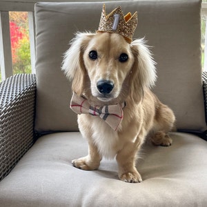 Pink Glitter Birthday Crown for a Dog or Cat Sparkly Pet | Etsy