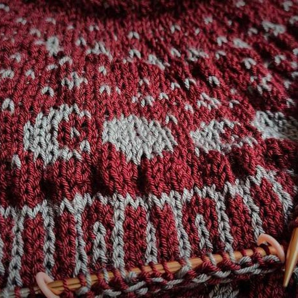 Astraeus- Sweater, Hat & Cowl -PDF- Digital Download -kids - Color Work ...