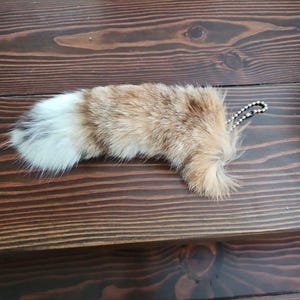 Professionally Soft Tanned Coyote Tail/real Fur - Etsy