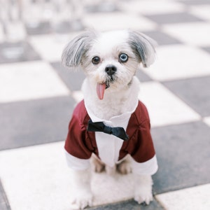 Kati Lou Dog Dress and Dog Blouse Sewing Pattern 1551 Dog - Etsy