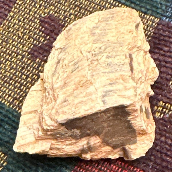 Delightful Freckled Calamity Jasper * - Etsy