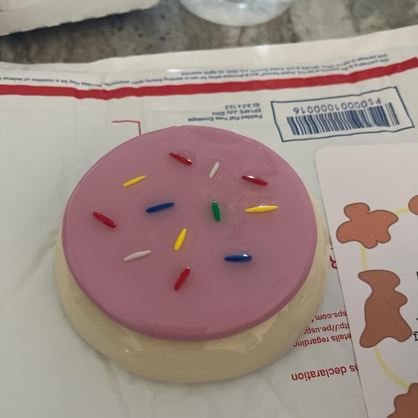 XL Trinket Box Sugar Cookie With Rainbow Sprinkles. Cute Clay Sugar ...