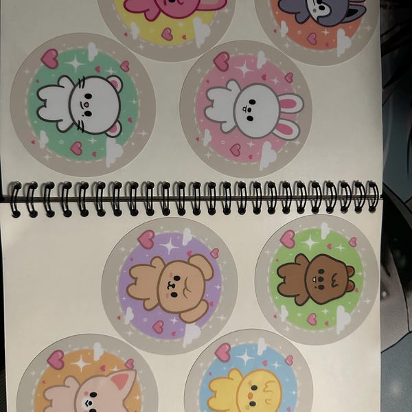 Stray Kids SKZOO Stickers, Kpop Fan Gift - Etsy