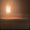 Edison Lamp Award™ – Personalized Awards, Plaques, Trophies, Trophy ...