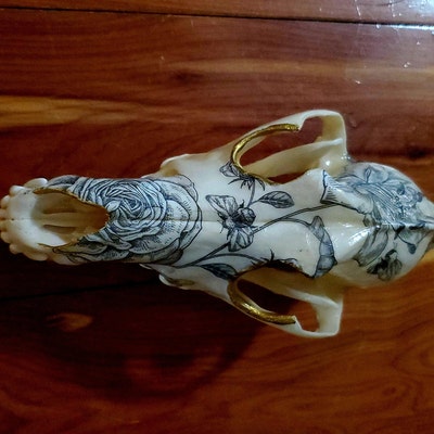 Sunflower Fox Skull Real Fox Skull Taxidermy - Etsy