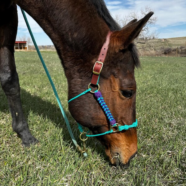 Ready to Ship! Handmade Rope Horse Sidepull Bitless Bridle Hackamore - Etsy