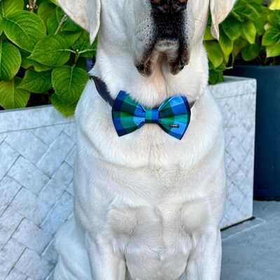 Denim Dog Bow - Etsy