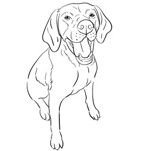 Custom Dog Outline, Dog Portrait INK, Pet Tattoo Commission, Line Art ...