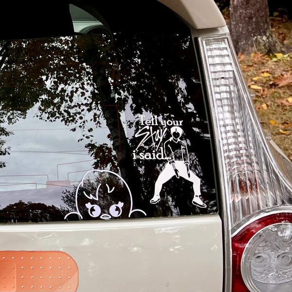 Stray Kids STAY Pose Decal - Etsy