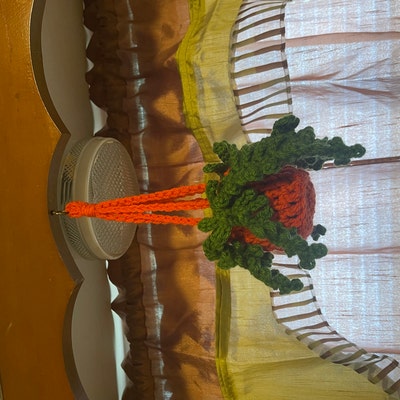 Car Fern Crochet PATTERN by Pamelambie Car Plant - Etsy