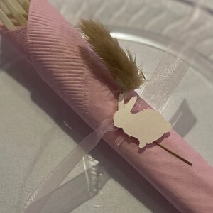 25 Pack Paper Apple Shapes Apple Shape Apple Paper Cut | Etsy