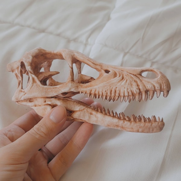 Velociraptor Replica Skull 3D Printed - Etsy