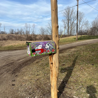 Opossum Mailbox - Etsy