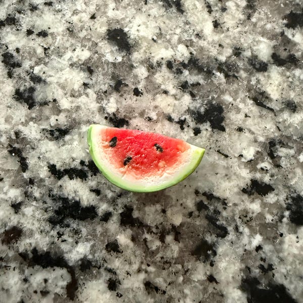 Toaster Pastry Magnet - Etsy