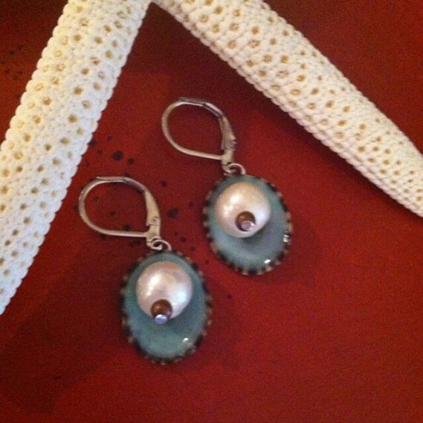 Beach Decor Blue Green Limpet Shells (25) - Seashell Supply - Coastal ...