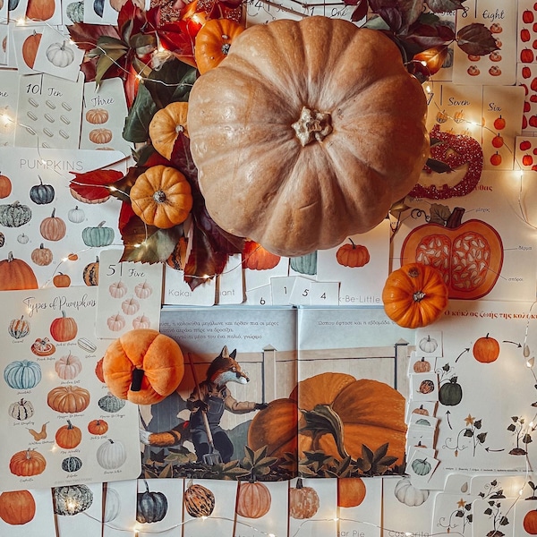 Pumpkin Mini Unit Study - Etsy