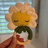 Daisy Flower Baby Rattle Crochet Pattern - Flower Amigurumi Crochet ...