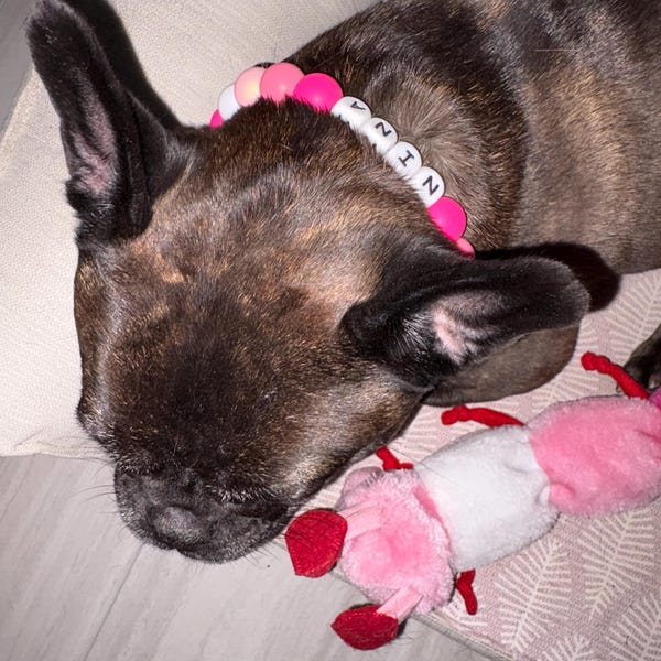 Name Beaded Dog Collar, Fancy Cat Necklace, Waterproof Dog Collar ...