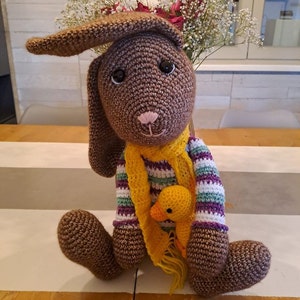 Crochet Pattern Cute Dodo - Etsy