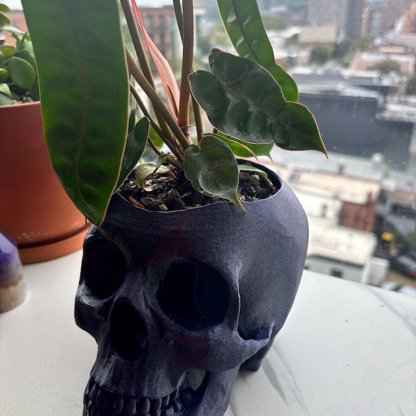 Whale Planter, Succulent Pot, Sea Creature, 3D Printed - Etsy