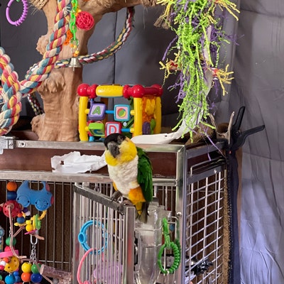 Parrot Toy Extra Large BIRDIE BOREDOM BUSTER Macaw African Grey ...