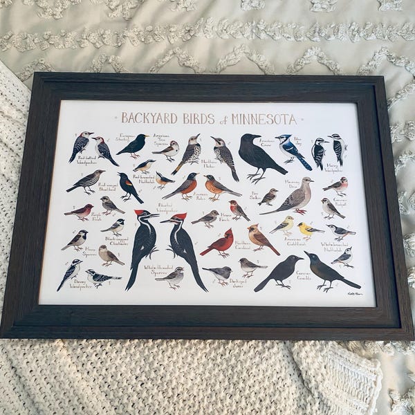 Minnesota Backyard Birds Field Guide Art Print / Watercolor Painting ...
