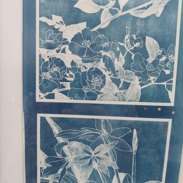 Cyanotype Stencils, Diy Solar Printing Kit, Cyanotype Kit, Craft Kit ...